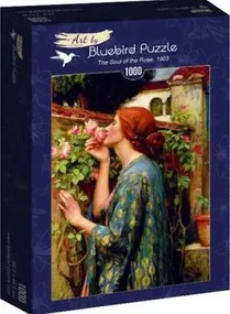 BLUEBIRD Puzzle Duše růže / 1000 dílků / 47,8 x 69 cm