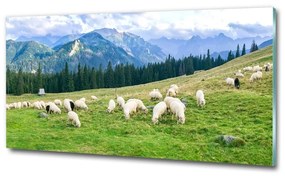 Wallmuralia Fotoobraz na skle Ovce v Tatrách 100x50
