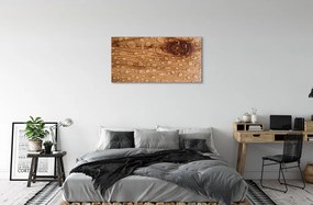Obrazy na plátně Kapky vody dřeva 140x70 cm