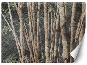 Gario Fototapeta Bambusový les Materiál: Vliesová, Rozměry: 200 x 140 cm