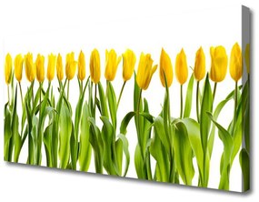 Obraz na plátně Tulipány Květiny Příroda 125x50 cm