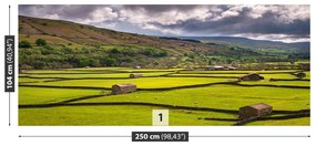 Fototapeta Yorkshire pole 104x70