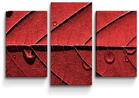 Sablio Obraz - 3-dílný Červený list - 75x50 cm