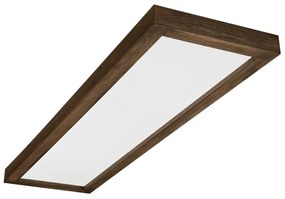 Brilagi-LED Stmívatelné svítidlo WOODY FRAME LED/50W/230V dub 120x30 cm IP44 +DO