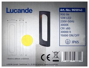 Lucande Lucande - LED Venkovní lampa FENTI LED/12W/230V IP65 LW0957