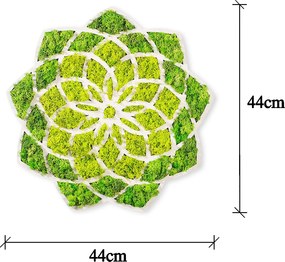 Nástěnná MDF dekorace Daisy zelená