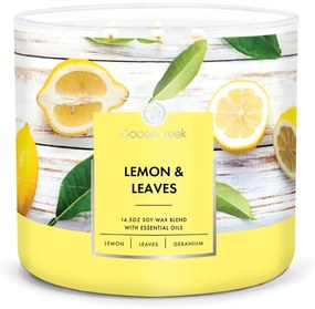 Goose Creek Candle svíčka Lemon & Leaves, 411 g