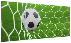 Fotbalový míč v síti - obraz (100x40cm)