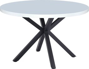 Jídelní stůl, bílá matná/černá, průměr 120 cm, MEDOR