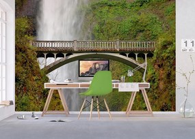 Fototapeta na míru Most Přes Multonomah Falls | Vliesová fototapeta na zed' | DFTNXXL0476