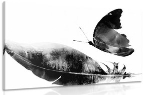 Obraz pírko s motýlem v černobílém provedení