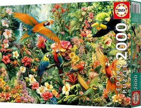 EDUCA Puzzle Ptáci Amazonie / 2000 dílků / rozměr 96 × 68 cm