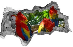 Wallmuralia Díra 3D fototapeta nálepka Papoušek Ara 95x73 cm