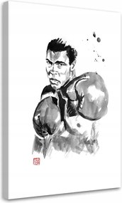 Obraz na plátně Muhammad Ali Péchane 40x60