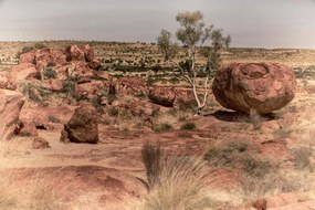 DIMEX | Samolepicí vliesová fototapeta na zeď Australská krajina MA-5-1669 | 375 x 250 cm | zelená, oranžová, šedá