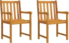 Zahradní židle 2 ks Přírodní Masivní akátové dřevo 316609