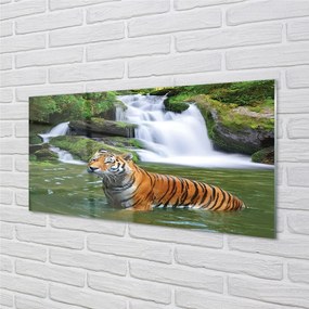 Obraz na skle tygr vodopád 120x60 cm