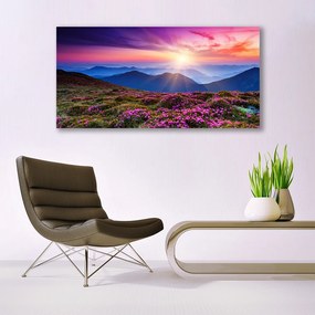 akrylový obraz Hora Louka Slunce Krajina 120x60 cm