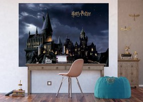 Dětská fototapeta na zed' Harry Potter Výhled na Bradavice | 252 x 182 cm | DFTDXL1965