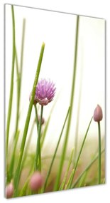 Wallmuralia Vertikální Fotoobraz na skle Květ pažitky 50x100