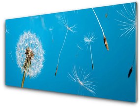 Obraz na skle Pampelišky Květiny Příroda 100x50 cm