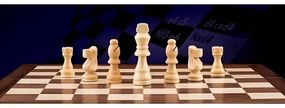 Popular Královské šachy, 38 x 20 x 5,5 cm