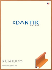 DANTIK rámeček 60x80 | ALU profil 6035 Dýha barevná oranžová (Plexi Čiré)