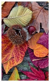 DIMEX | Vliesová fototapeta na zeď Podzimní listí MS-2-0112  | 150 x 250 cm | vícebarevná