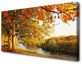 Obraz na plátně Strom Jezero Příroda 100x50 cm