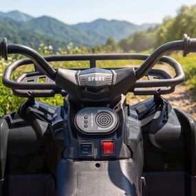 AIYAPLAY elektrická čtyřkolka pro děti 12 V, Li-ion, 2 motory, černá