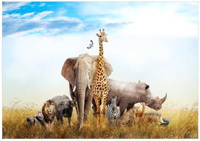 Fototapeta - Fauna of Africa