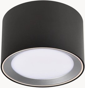 Stmívatelné stropní LED svítidlo Landon