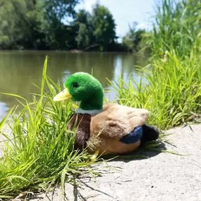 RAPPA Plyšová kachna 20 cm / ECO-FRIENDLY / od 0 let