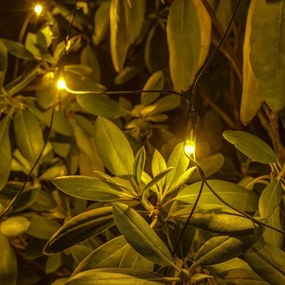 Hobby Line LED světelná síť, 200 × 150 cm, teple bílá, 90 diod, tmavě zelený kabel, IP44, prodlužovací