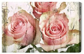 Obraz Vintage 3D Růže Nedostatek Nedostatek Přírodní plátno 100x70