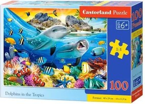 Castorland 111169 Delfíni v tropech / 100 dílků / od 6 let