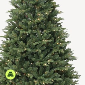 Smrk Přírodní 550 LED 210 cm