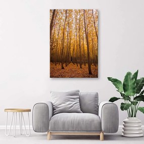 Obraz na plátně Listy březového lesa žluté - 60x90 cm