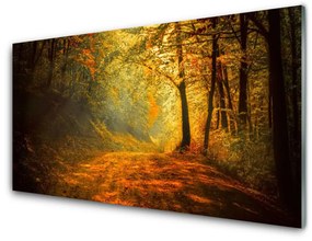 Obraz na skle Les Cestička Stromy Příroda 100x50 cm