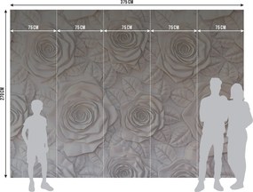 Fototapeta na míru Sádrový Basreliéf Růže | Vliesová fototapeta na zed' | DFTNXXL1226