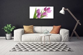 Obraz na plátně Tulipány Květiny Rostlina 140x70 cm