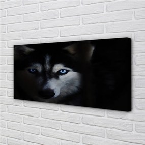 Obrazy na plátně wolf Eyes 120x60 cm