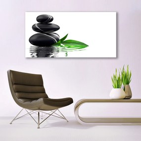 akrylový obraz Kameny Listy Voda Umění 120x60 cm