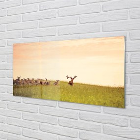 akrylový obraz Stádo jelenů pole svítání 125x50 cm