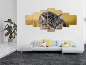 Obraz kočky na pohovce (210x100 cm)