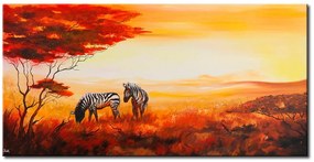 Obraz Senné ráno (1dílný) - sluneční krajina Afriky se zebrami