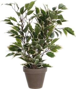 XXXLutz UMĚLÁ ROSTLINA 40 cm - Umělé rostliny - 0045360230
