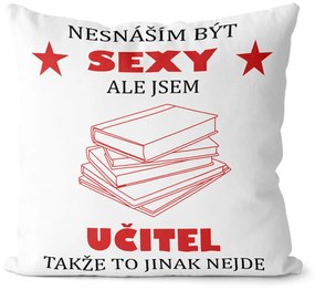 Polštář Sexy učitel (Velikost: 40 x 40 cm)