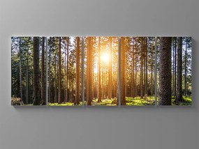 Liox Obraz ráno v lese Rozměr: 200 x 80 cm