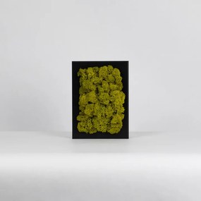 Mechový miniobraz | 15x10 cm | olivově zelený - černý rám